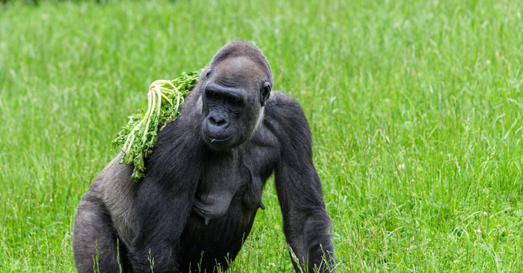 Identifiez facilement votre code APE en quelques étapes