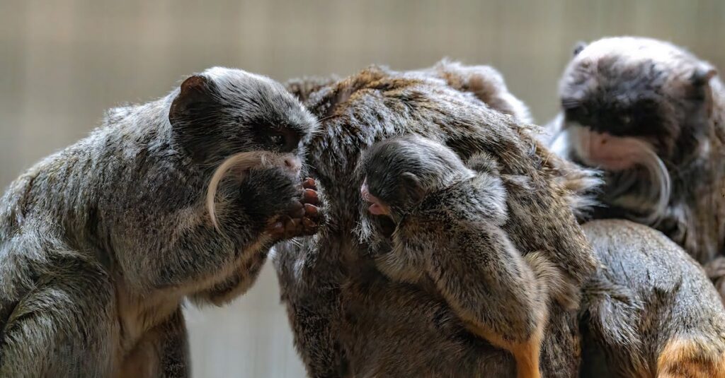 Identifiez facilement votre code APE en quelques étapes